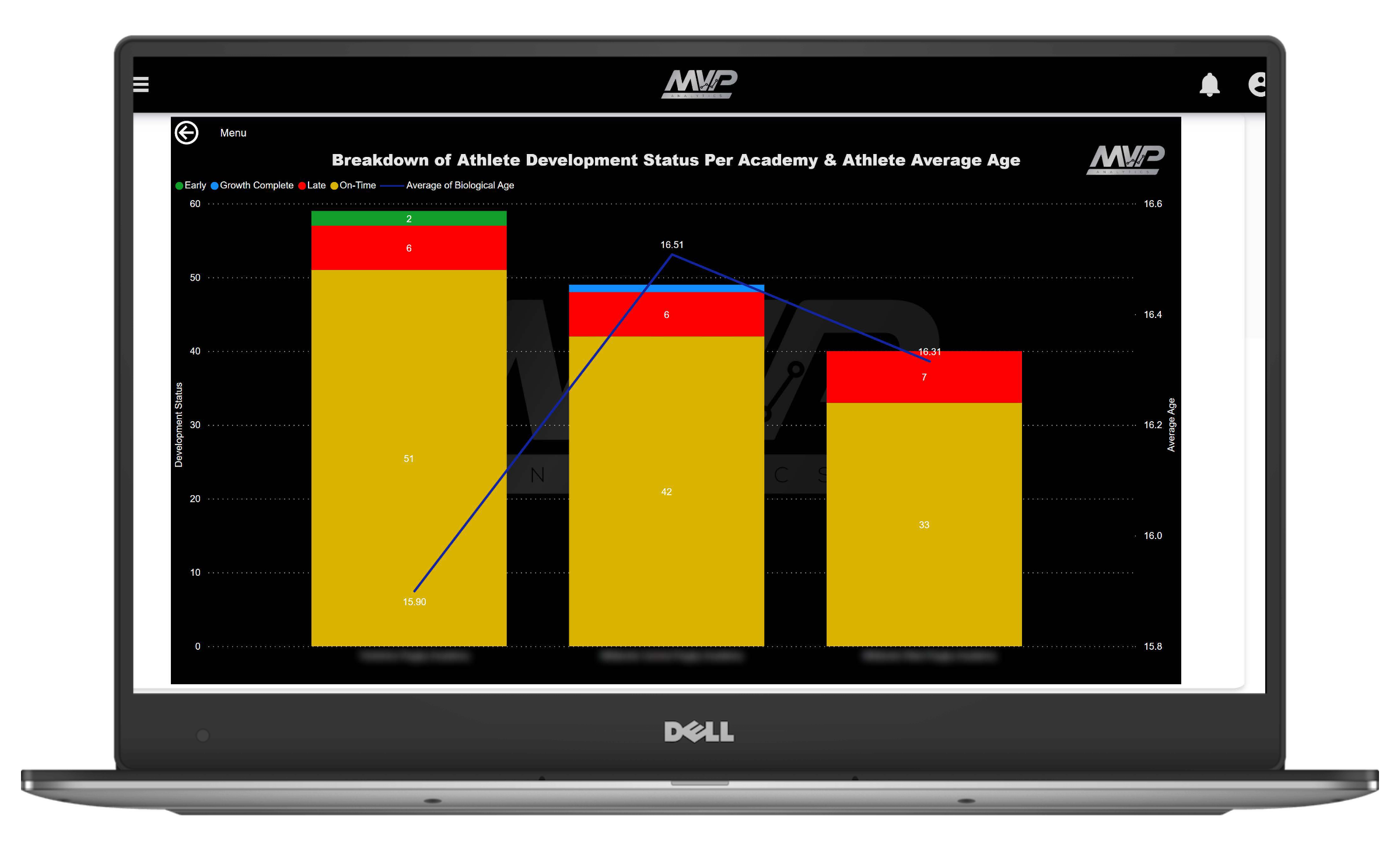 Understanding Biological Age Estimation through Literature